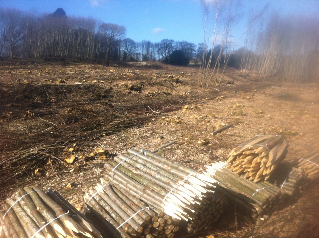 Photos | C.G.W Chestnut Fencing Supplies Ltd